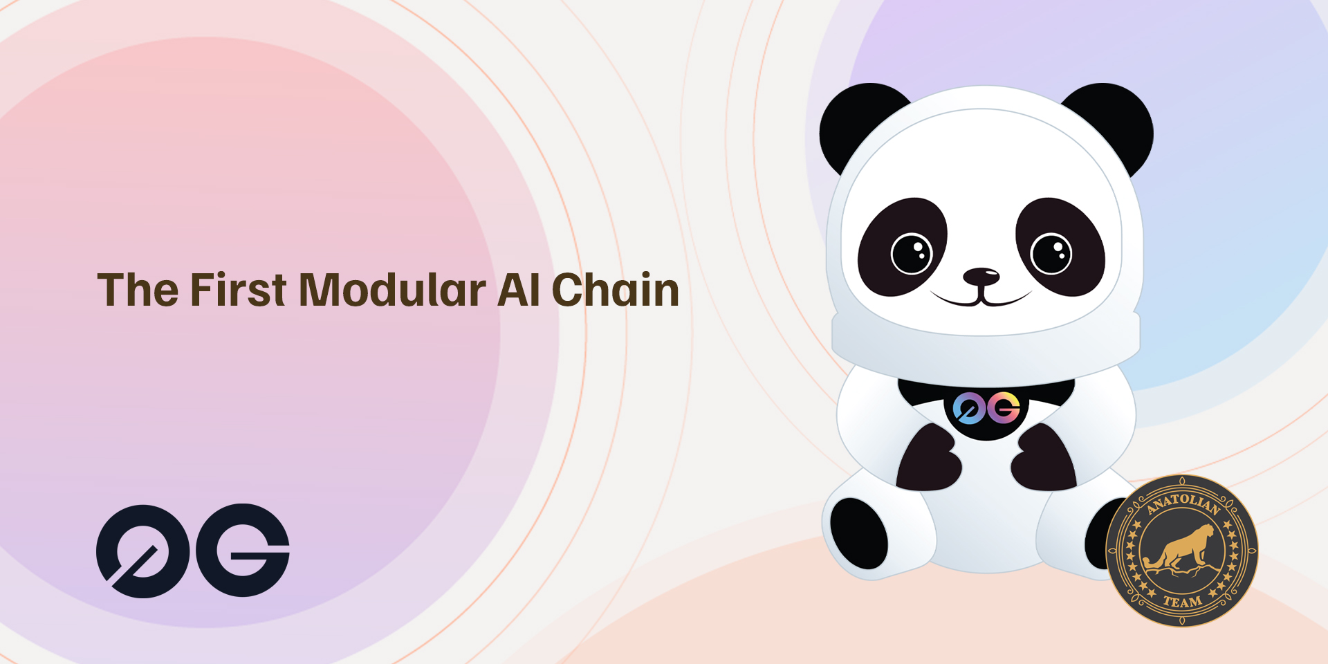 👤 User Guide | Anatolian Team