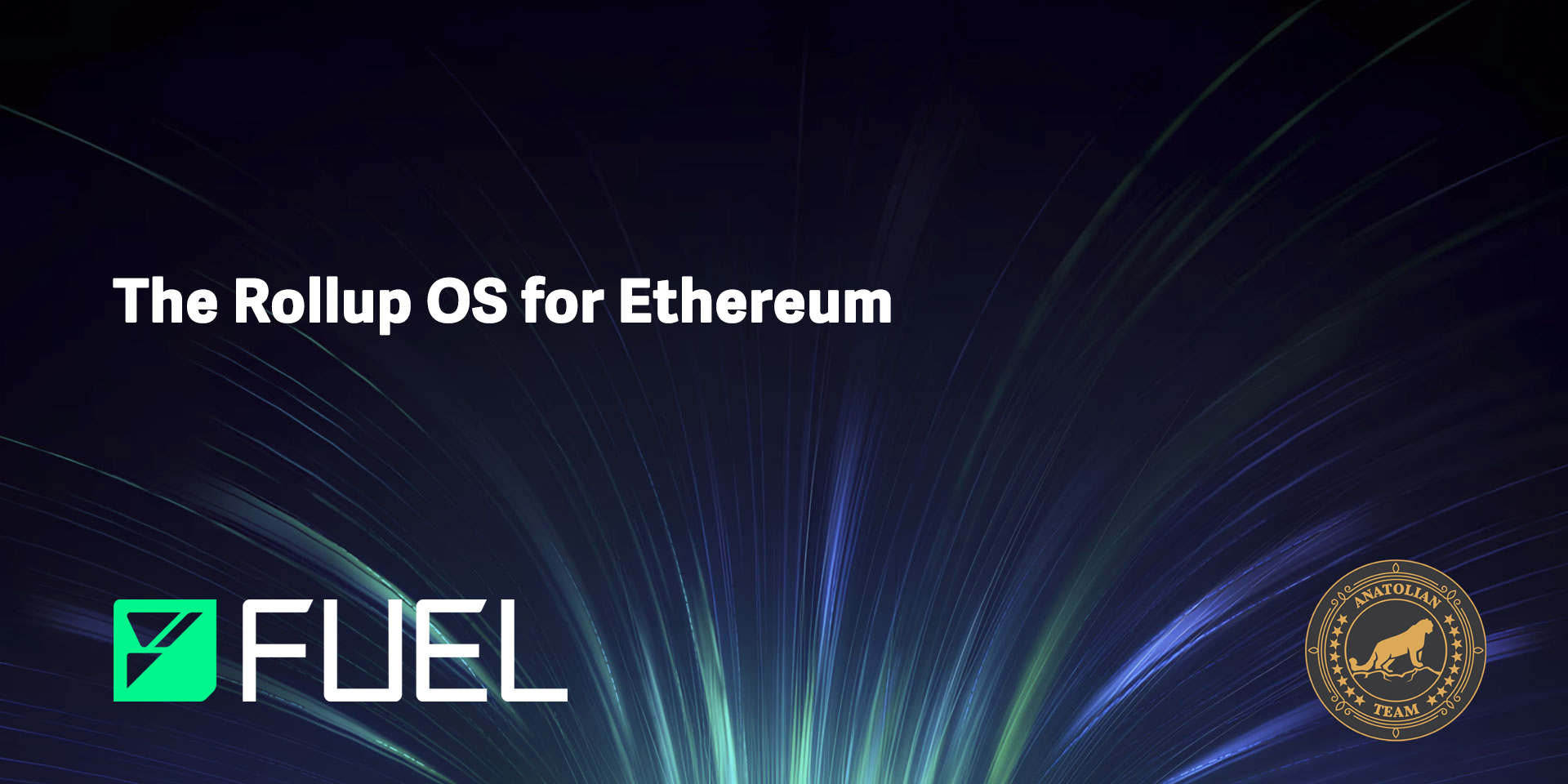 Fuel | Anatolian Team