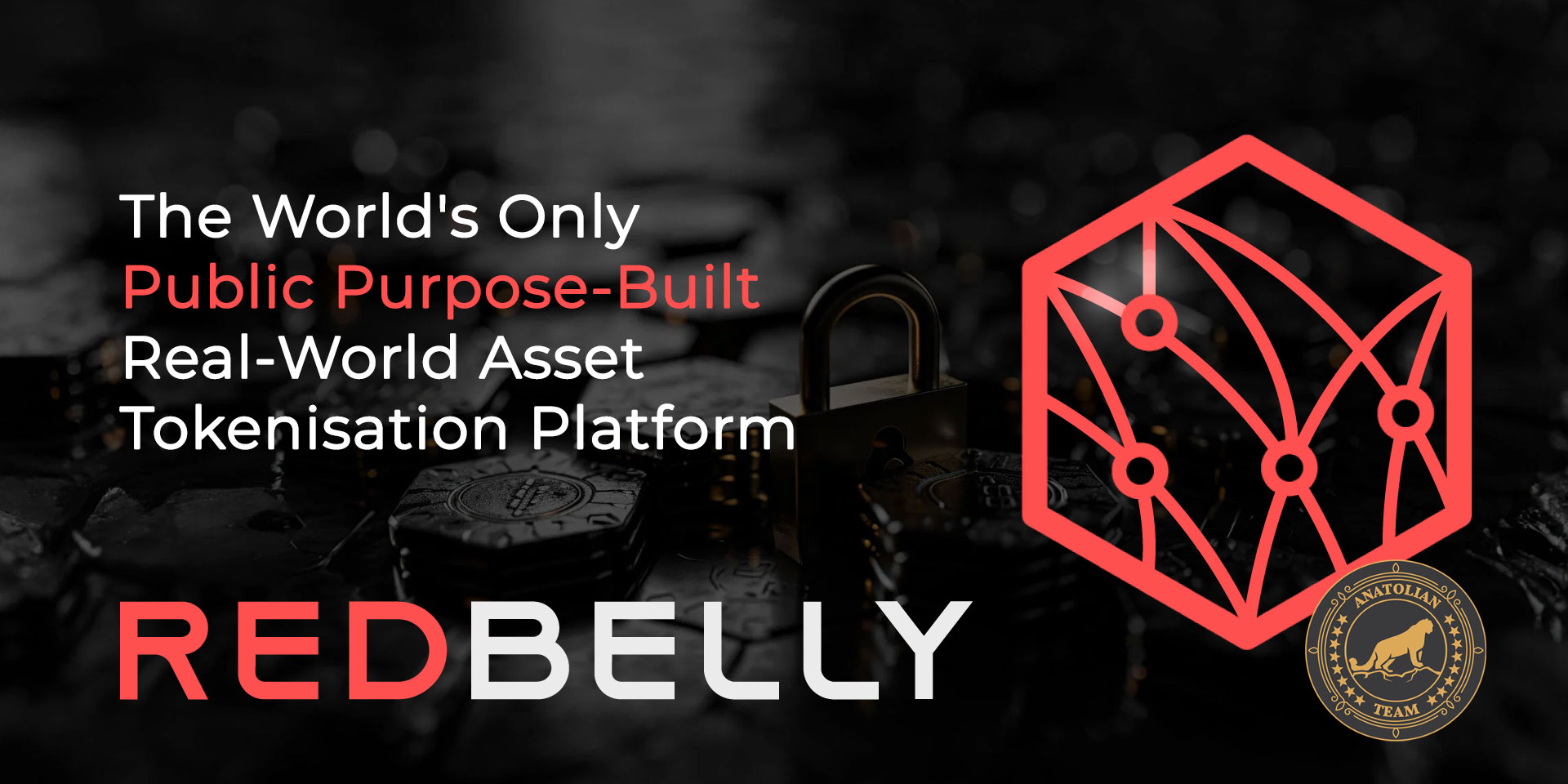 Redbelly Network | Anatolian Team